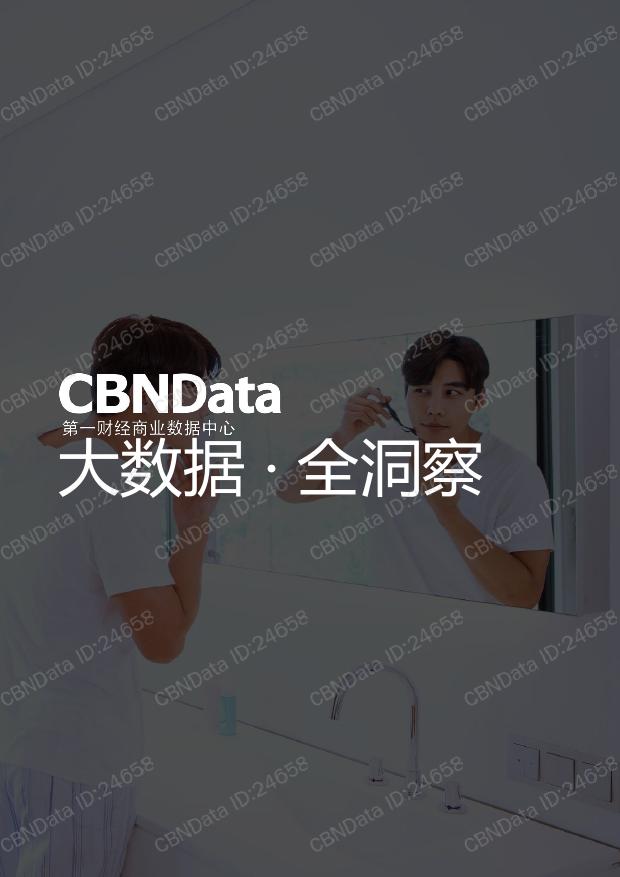 CBNData：2017线上剃须用品相关消费系列研究_数据局